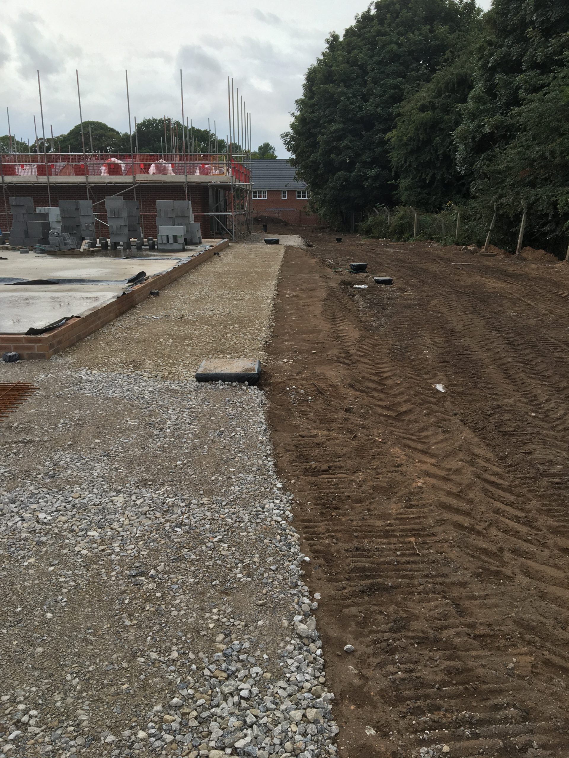 Scaff Matt 3 – EuroGold